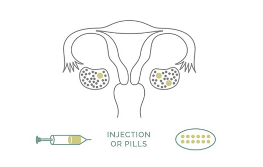 IUI - Blossom Fertility & Medical Clinic, Prince George