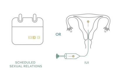 Ovulation Induction - Blossom Fertility & Medical Clinic, Prince George